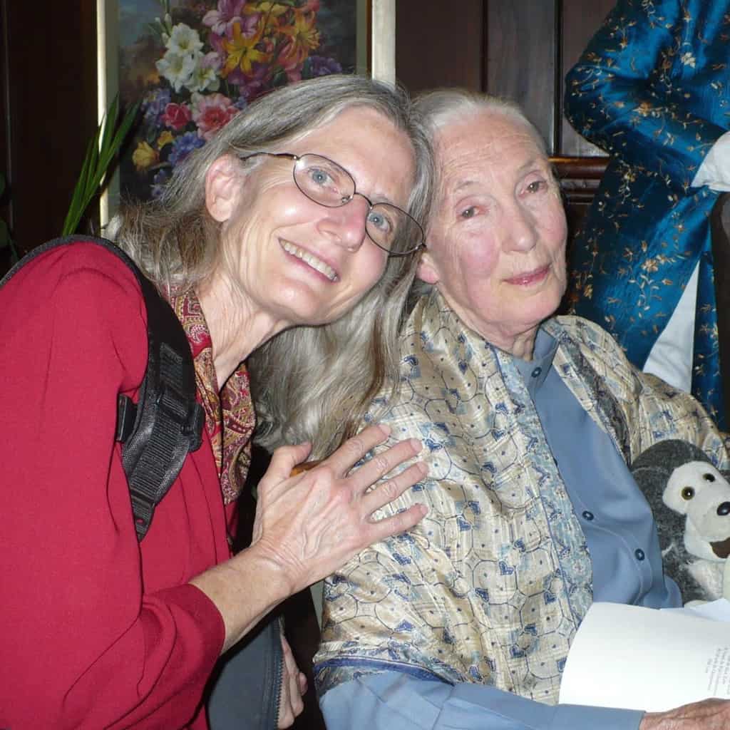 Who We Are - Compassion Games International