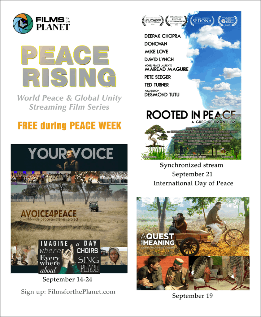 peacerising - Compassion Games International